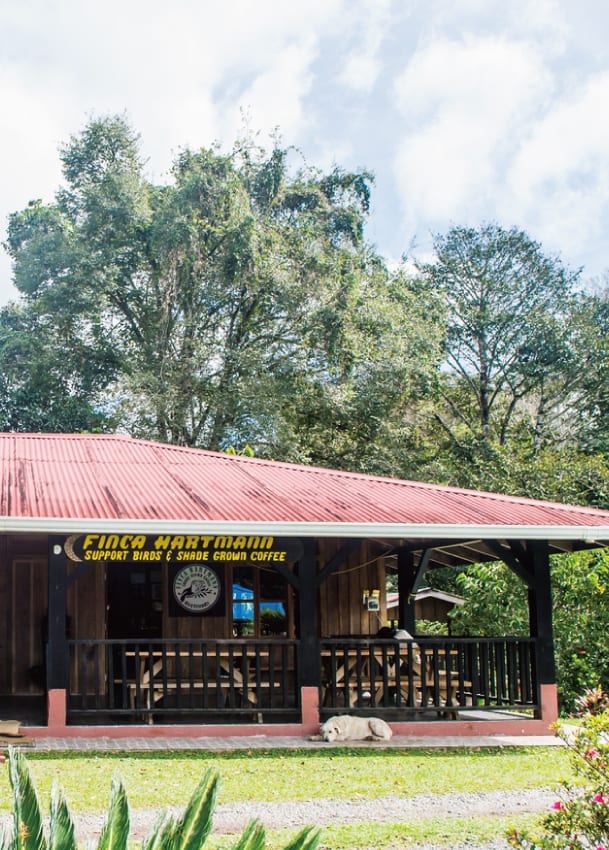 巴拿馬 哈特曼莊園 Panama Hartmann Estate | HARU COFFEE 守成咖啡