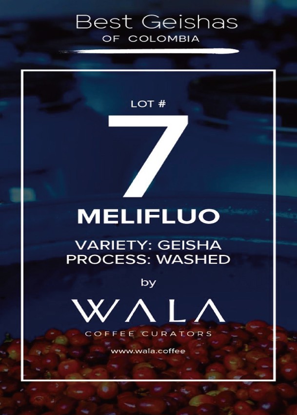 2023 哥倫比亞 Wala Coffee 獨立競標 2023 Colombia Wala Coffee Auction | HARU ...