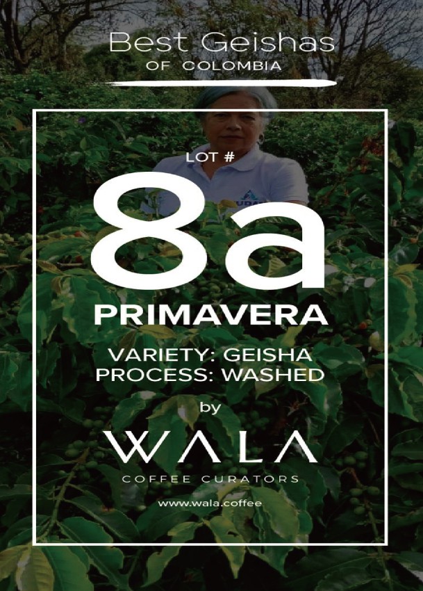 2023 哥倫比亞 Wala Coffee 獨立競標 2023 Colombia Wala Coffee Auction | HARU ...